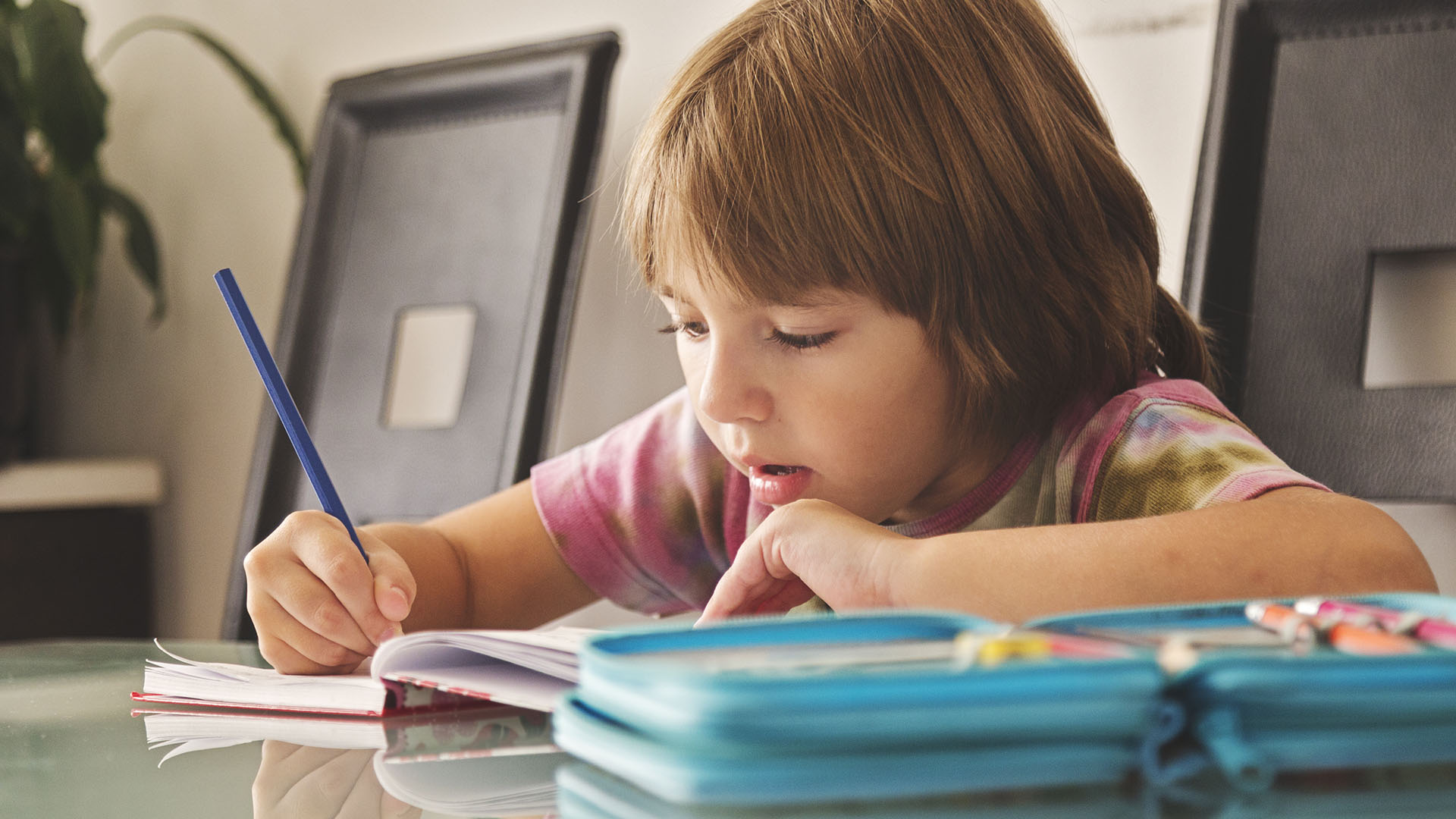 Super Sleuth - Pacific Charter Institute - CA